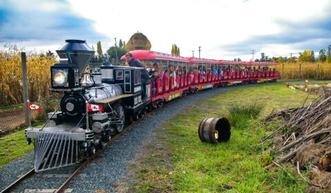 Farm Train - Corn Maze, Market & Railway | Victoria BC