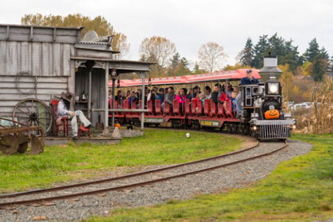 Farm Train - Corn Maze, Market & Railway | Victoria BC